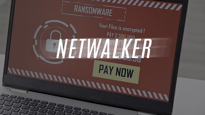 All you should know about Netwalker ransomware